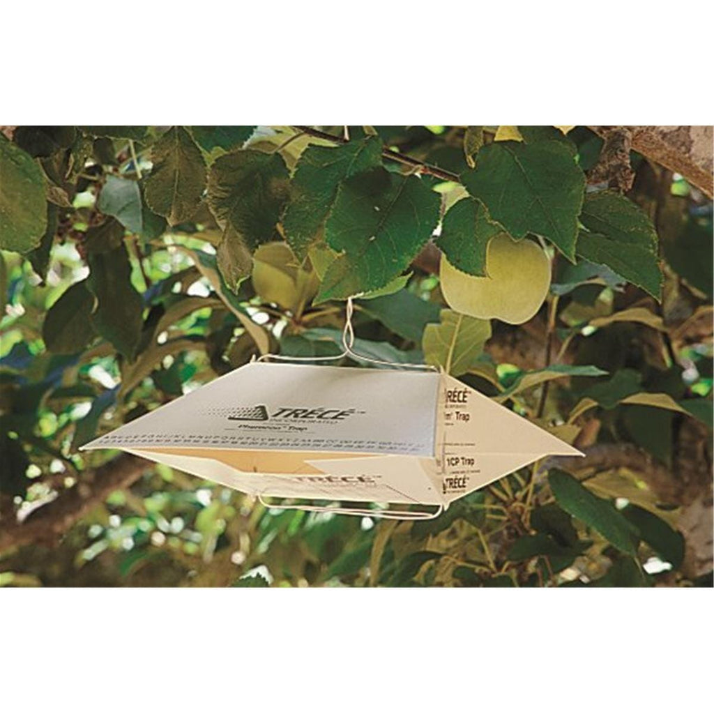 Trece Black Cutworm Trap Kit, 1C with Liners and Lures | Gemplers